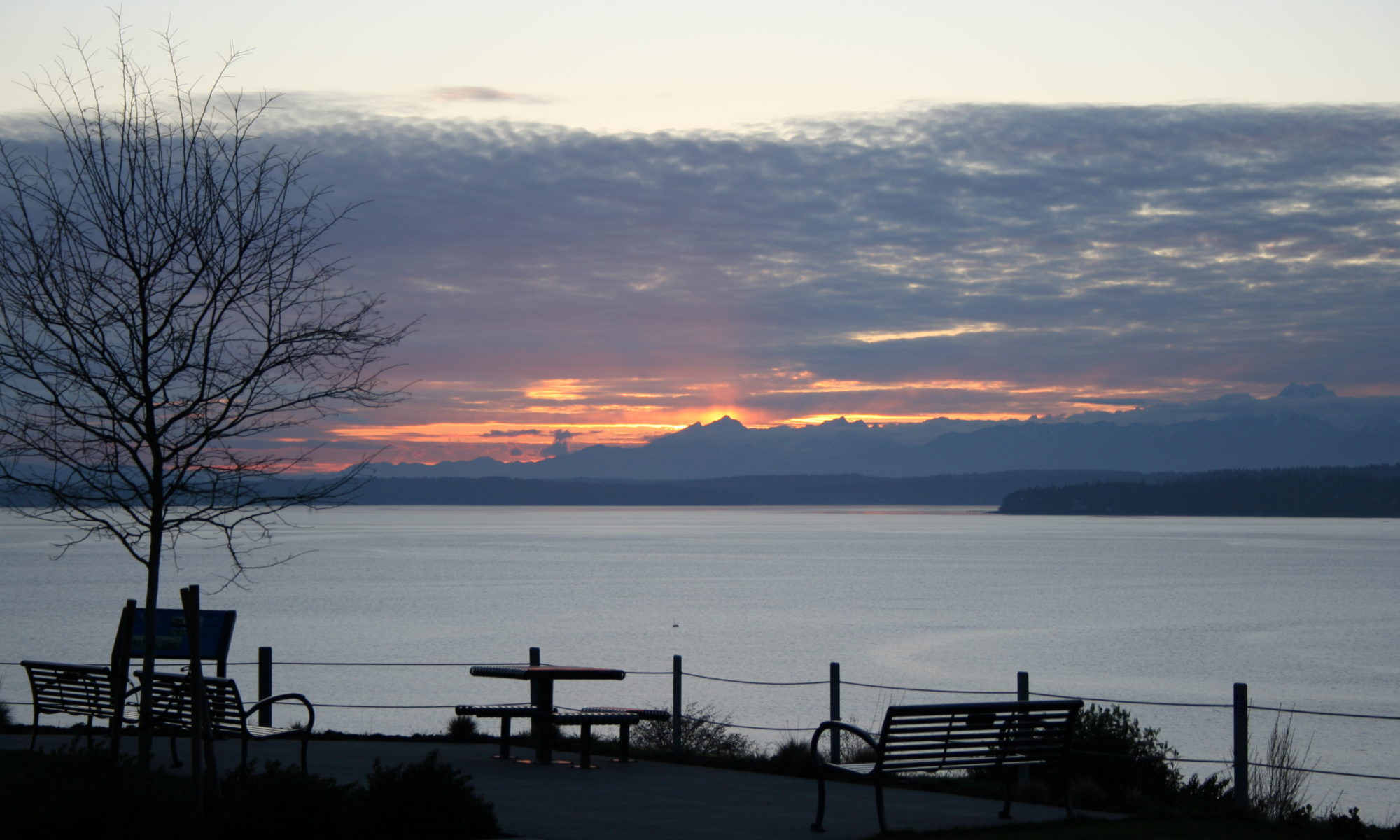About – Ann MacLean, MA, LMHC, EMDR ——— Clean slate therapy
